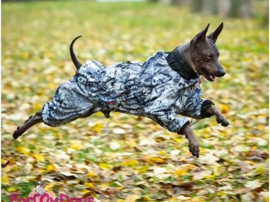 Дождевик новый fou my dogs