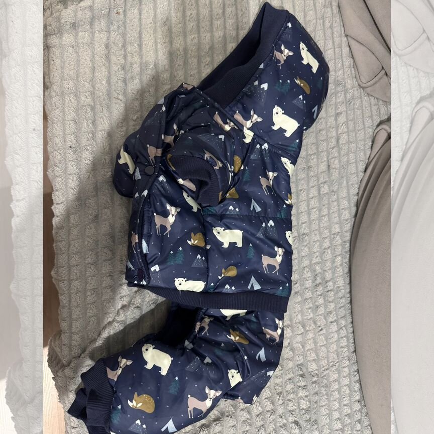 Костюм для собаки