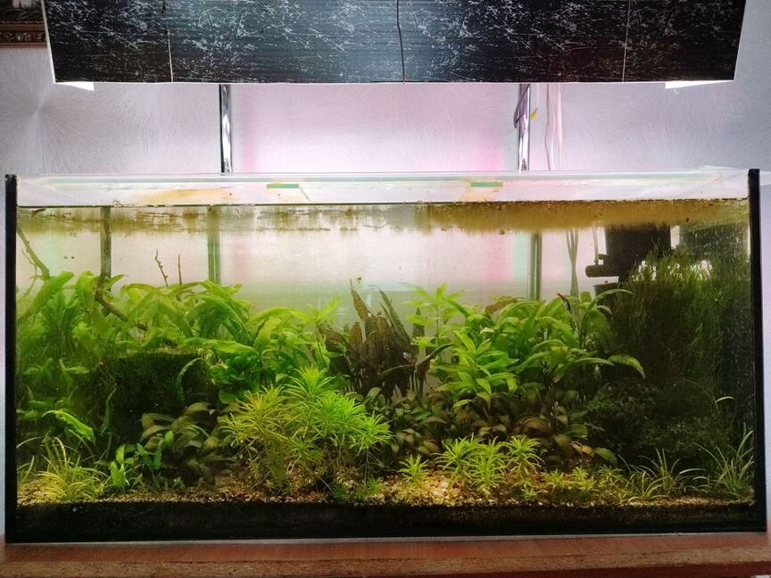 Аквариум 150л