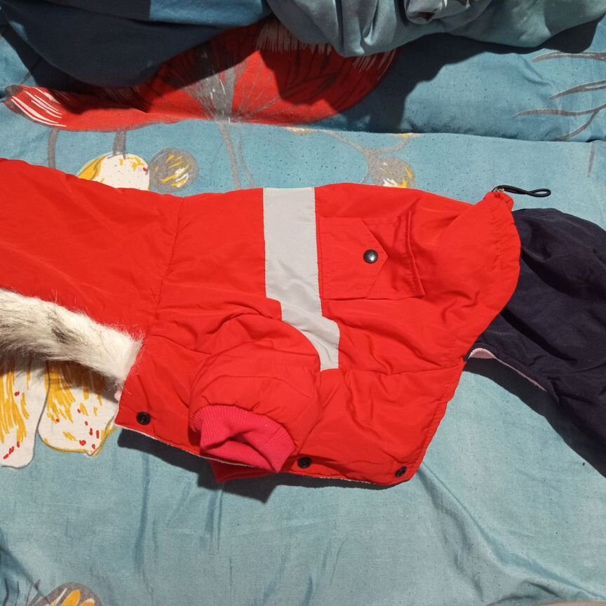 Одежда для собак