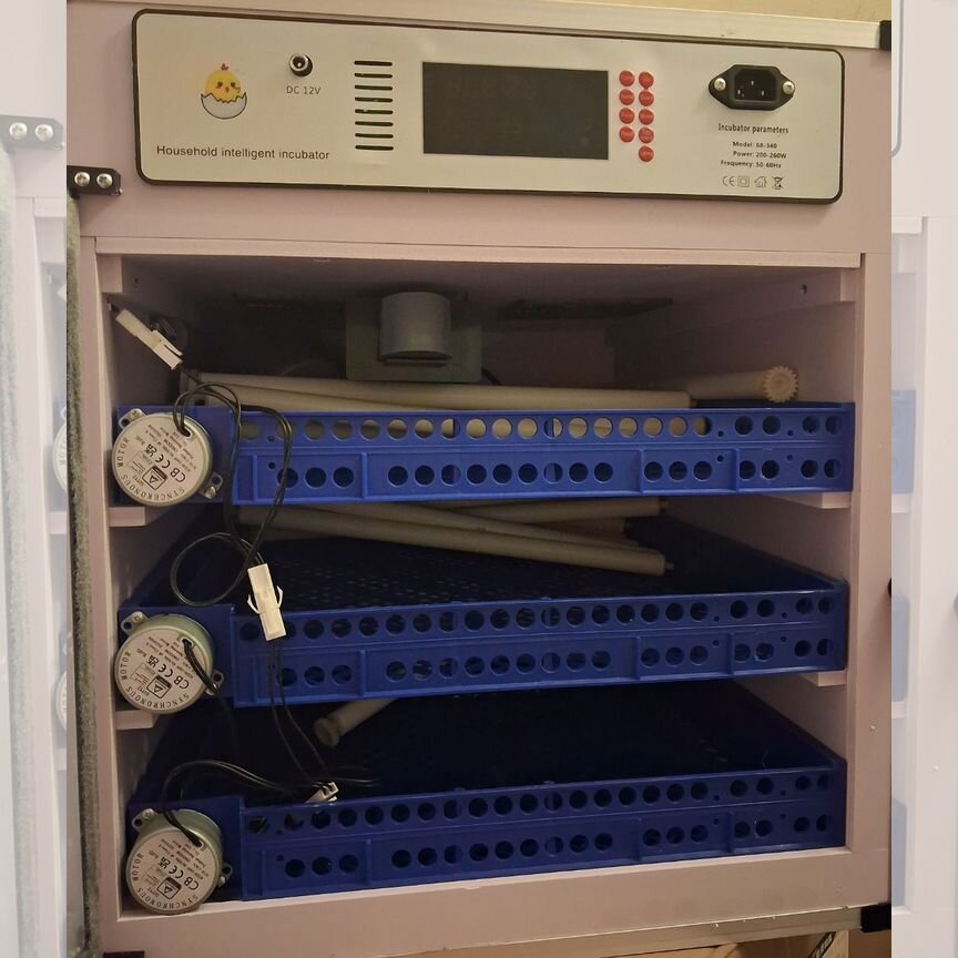 Инкубатор для яиц автоматический переворот