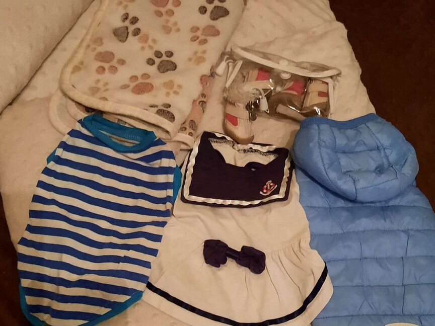 Одежда для чихуа пакетом