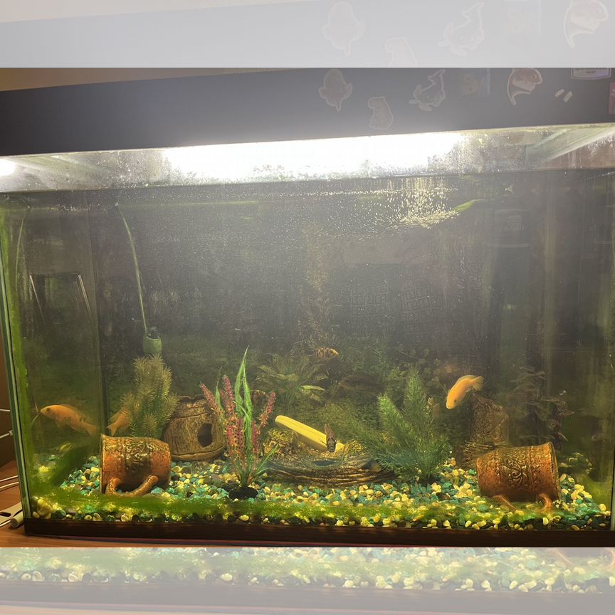 Аквариум с рыбками 90 литров