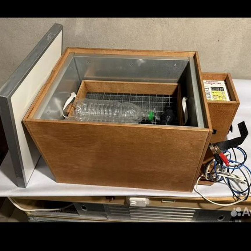 Инкубатор блиц 48