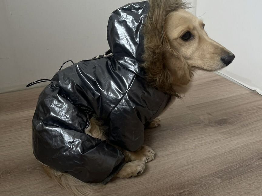 Комбинезон для собаки