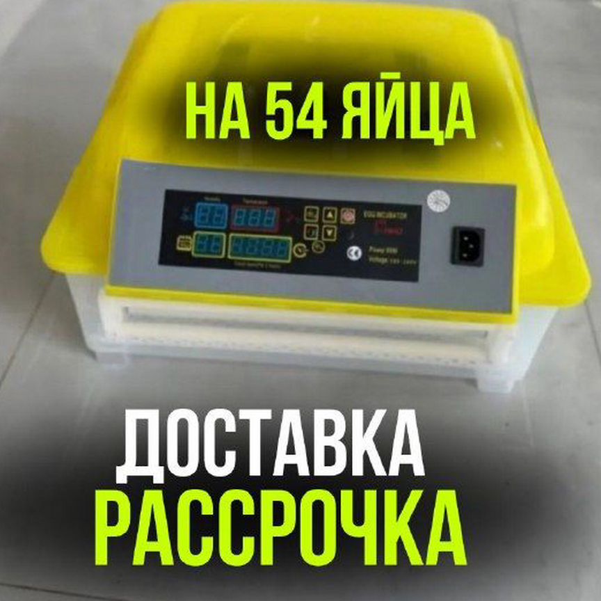 Инкубатор