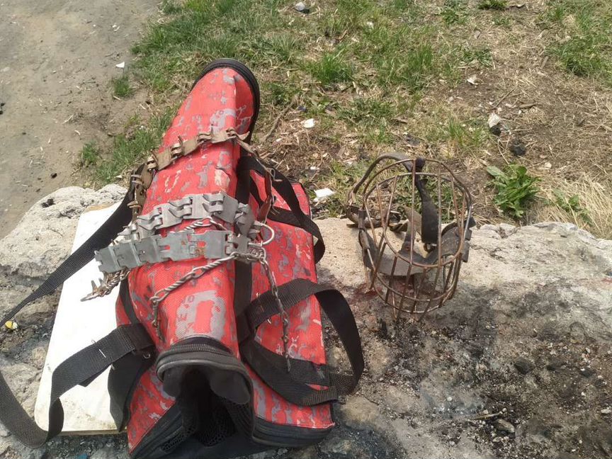 Товары для домашних животных