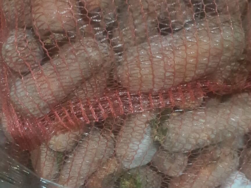 Морковь и Кабачки бесплатно