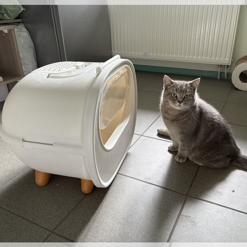Лоток для кошек закрытый туалет