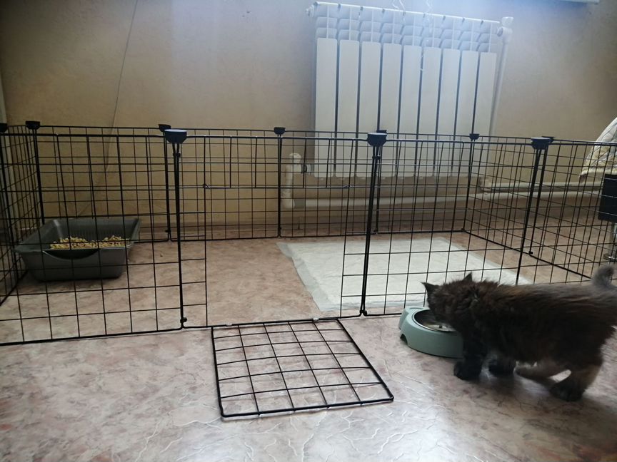 Вольер для щенков, котят