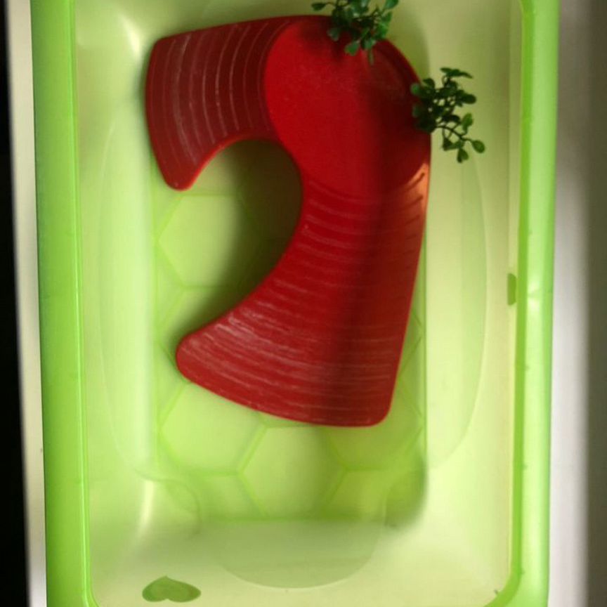 Акватеррариум для черепахи