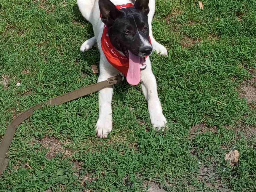 Разбираем красоту