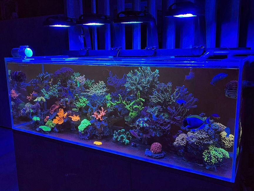 Аквариумные системы морские и пресноводные