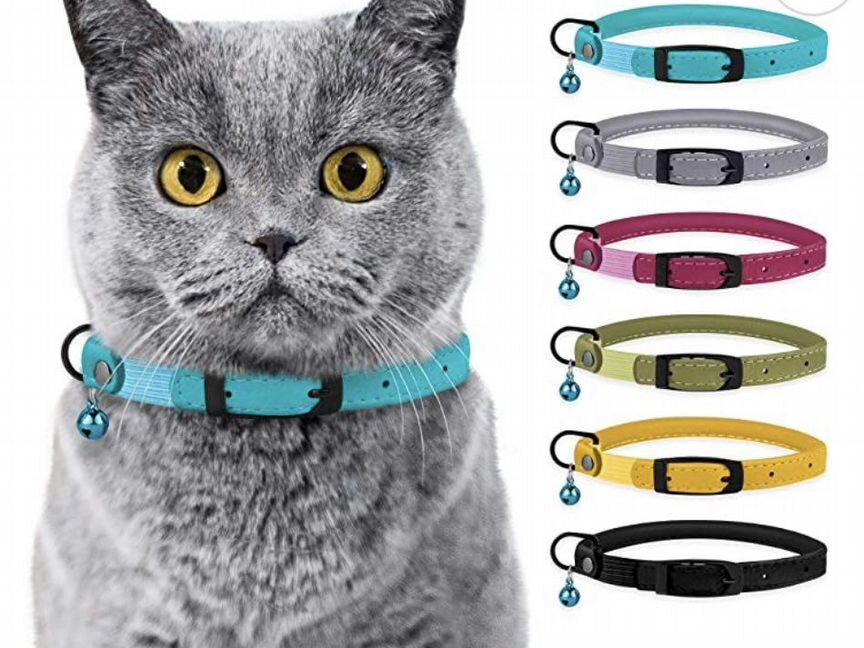 Ошейник для кошек