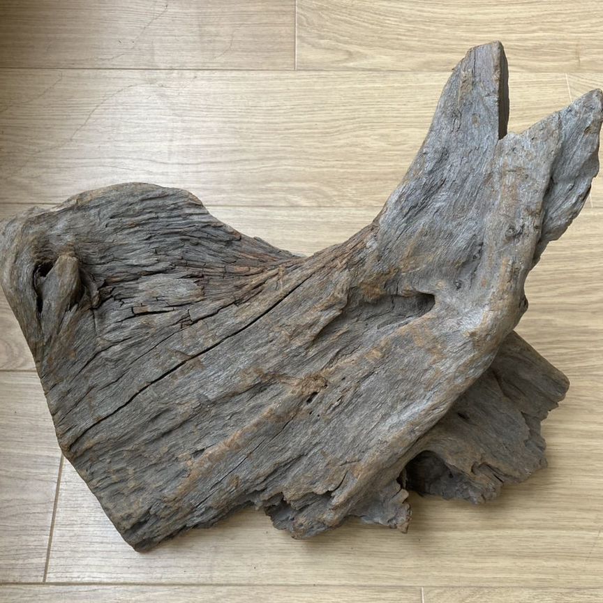 Коряга мангровая для аквариума