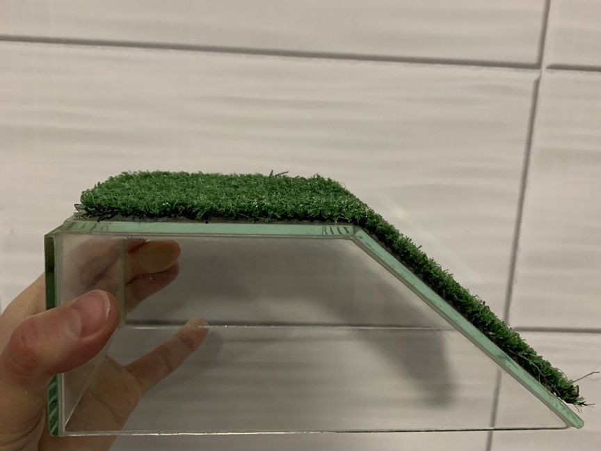 Мостик для черепахи