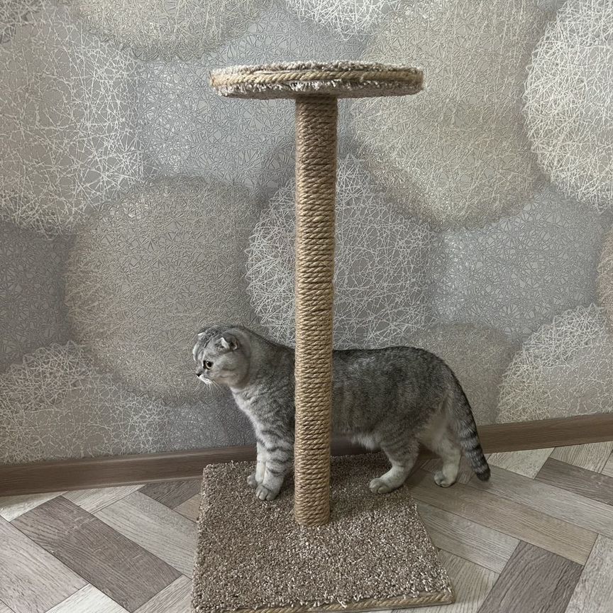 Когтеточка для кошек новая