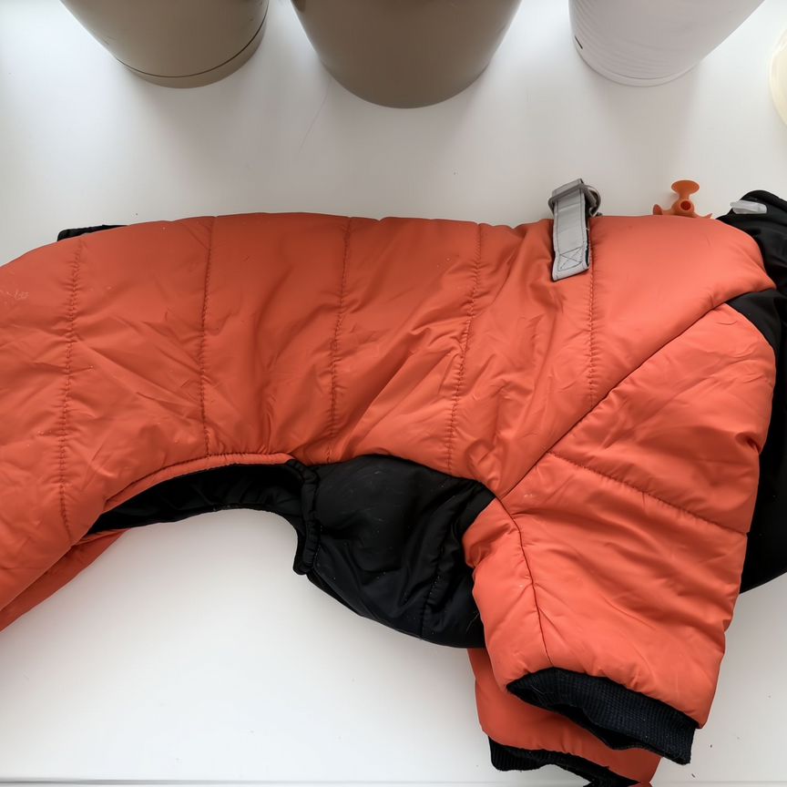 Одежда для собак