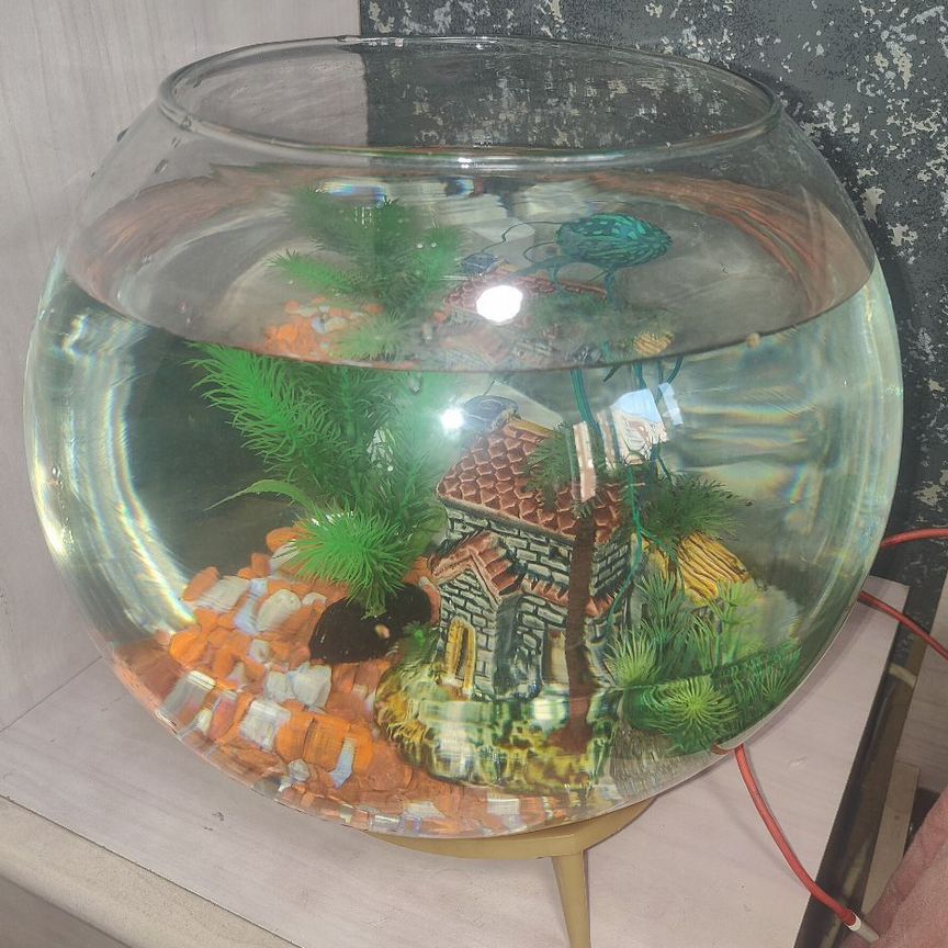 Аквариум круглый со всем содержимым