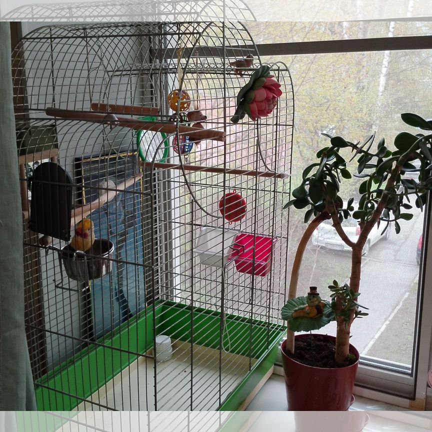 Клетка для пернатых