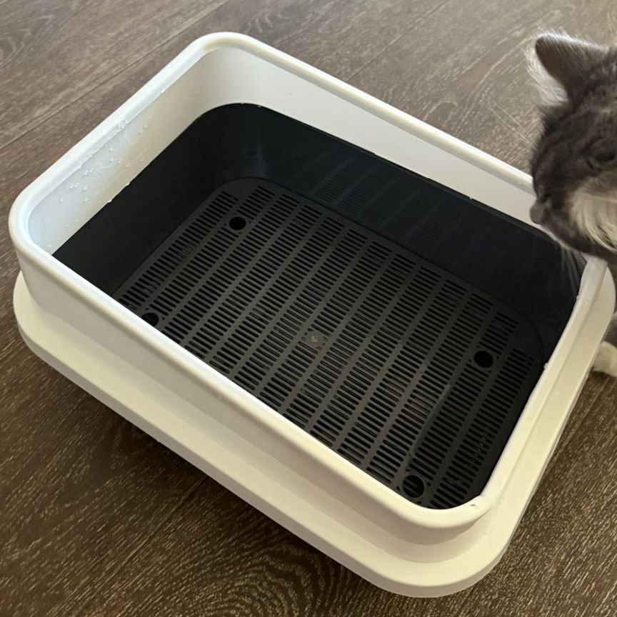 Лоток для кошек