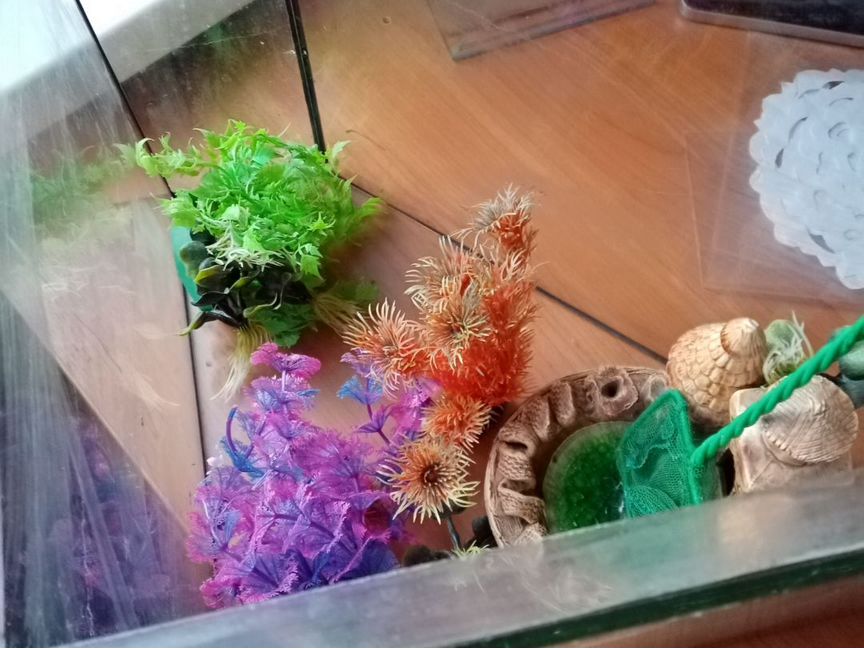 Отдам бесплатно аквариум