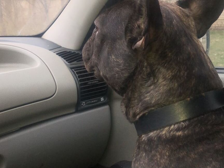 Очень красивый парень ищет невесту