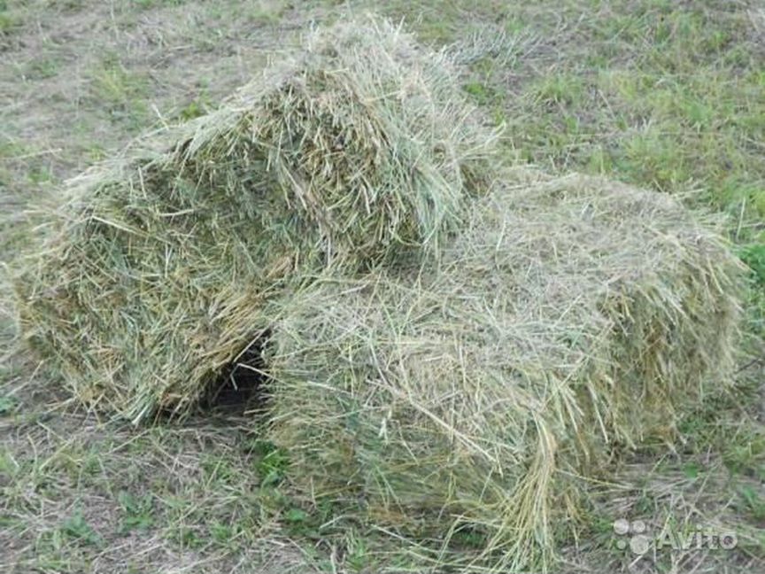 Сено в тюках