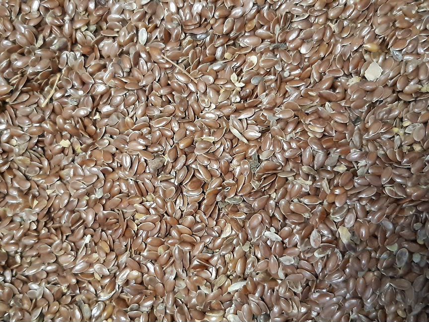 Семена льна