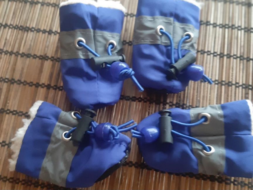 Сапожки для мини собак