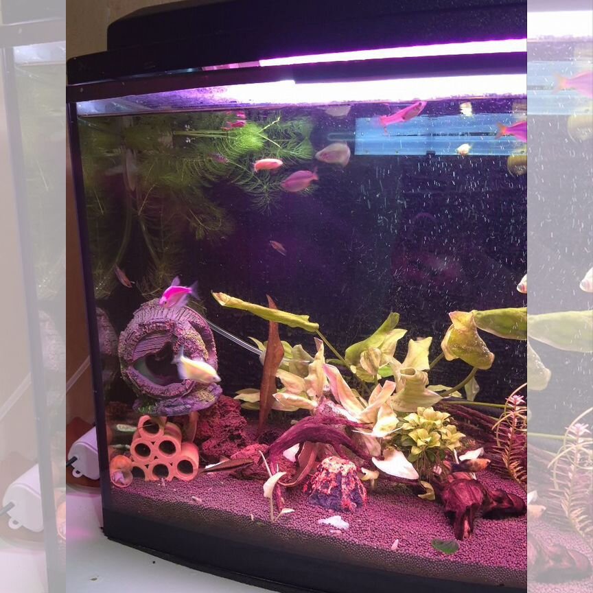 Аквариум со всем оборудованием