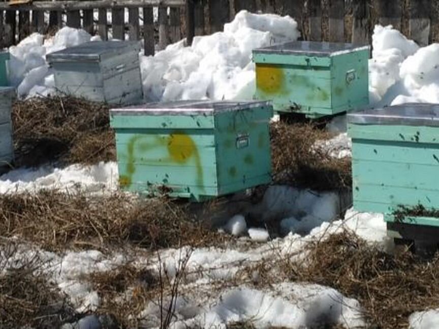 Ульи для пчел бу