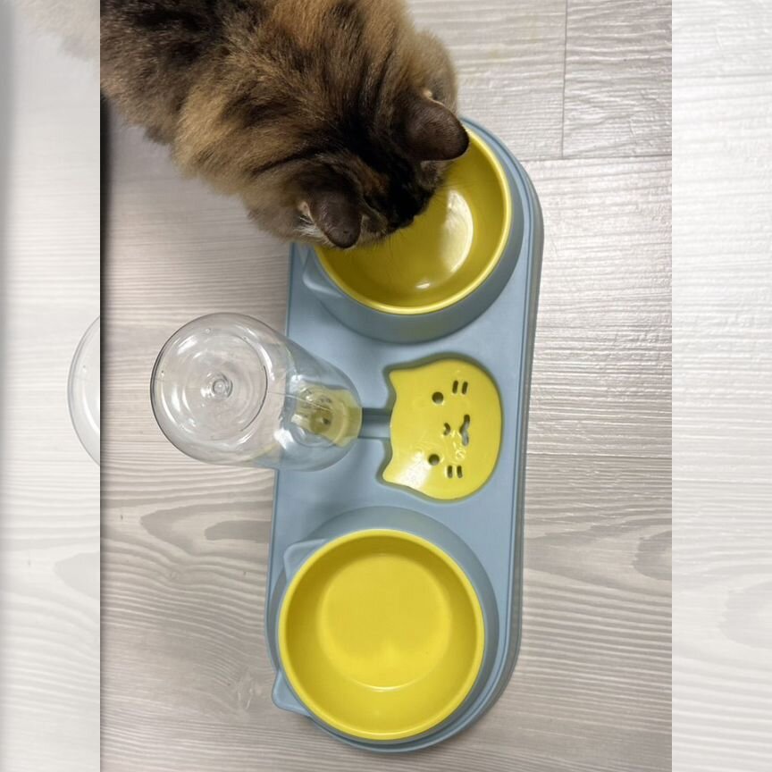 Миска автопоилка для кошки
