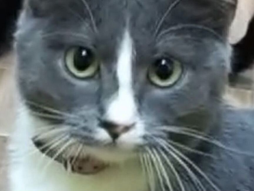 Красавчик малыш Алекс