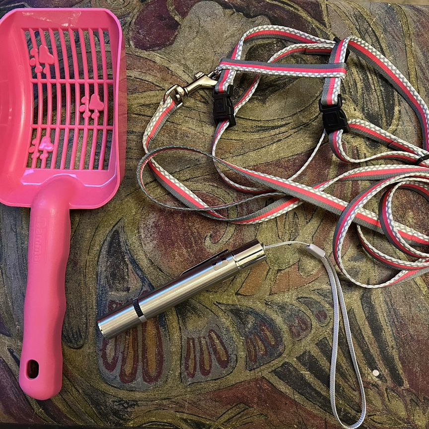 Товары для кошки