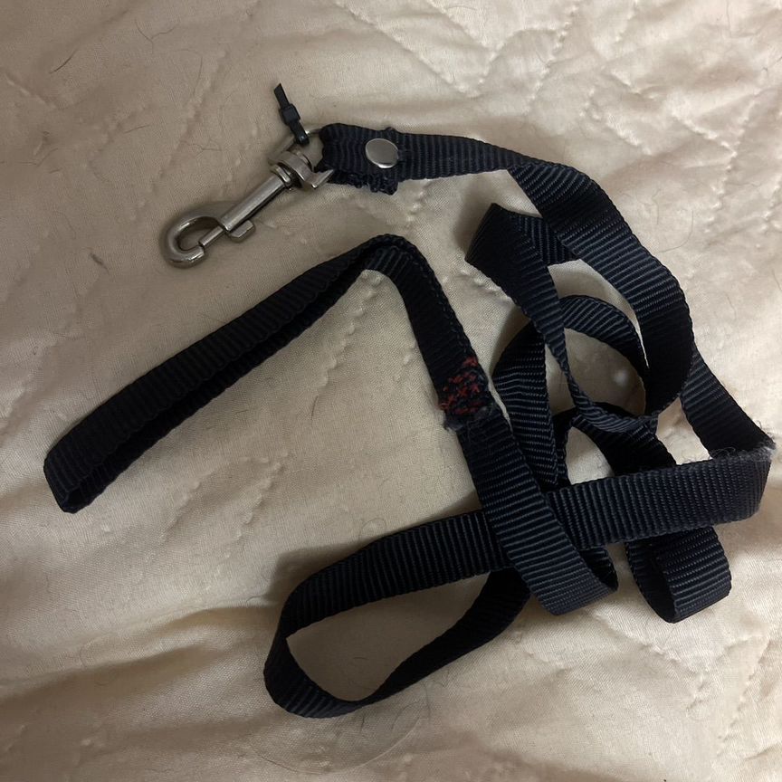 Поводок для собак 1 m