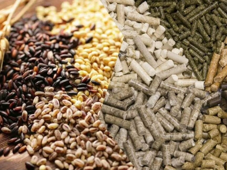 Зерно Пшеница Ячмень Кормосмесь