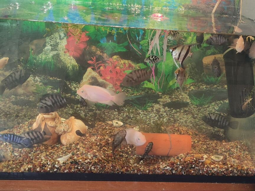 Аквариум 100 литров со столиком