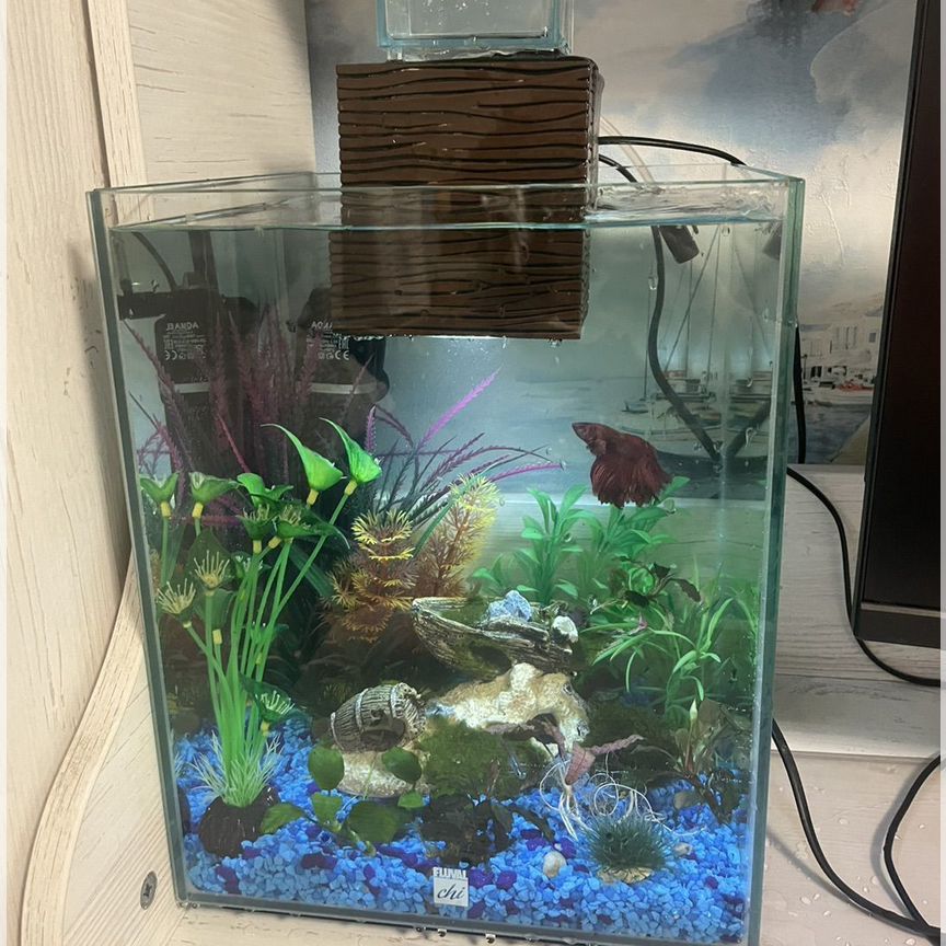 Аквариум 20 литров