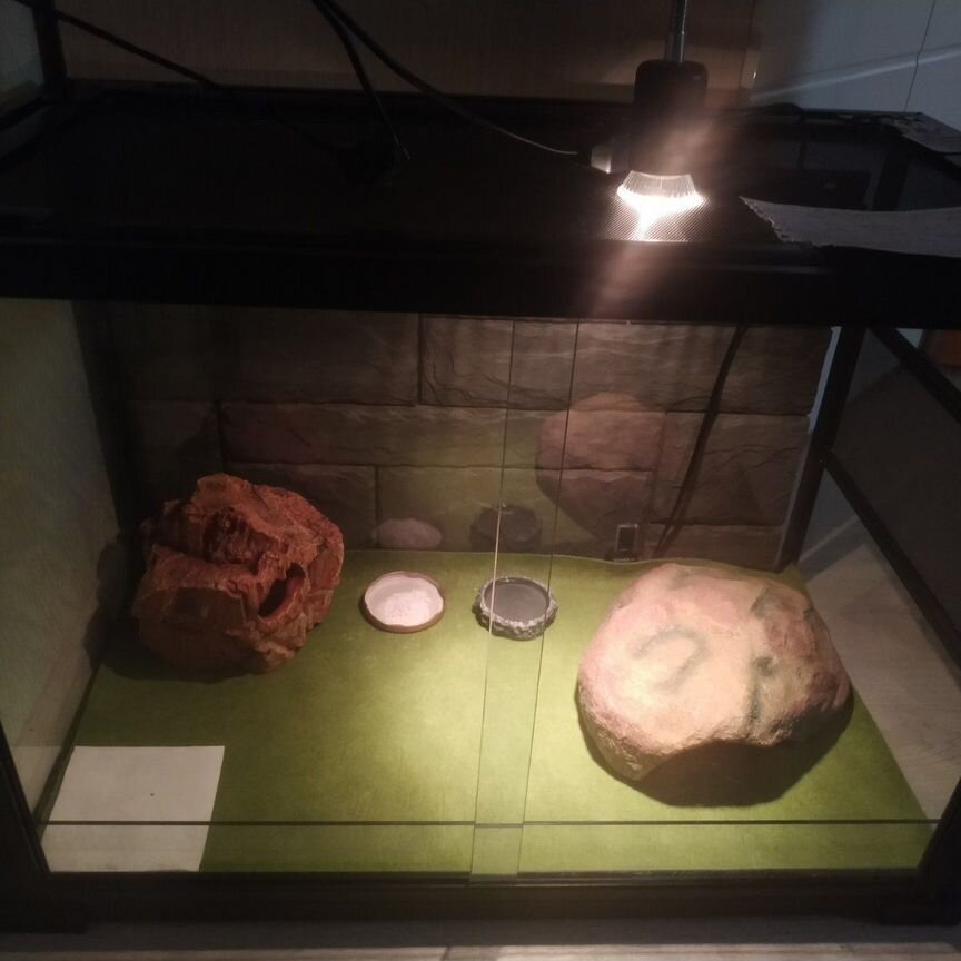 Террариум для рептилий