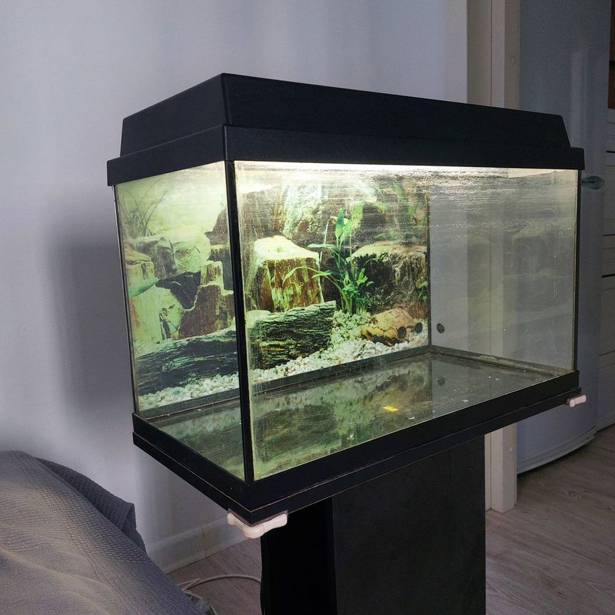 Аквариум для террариума