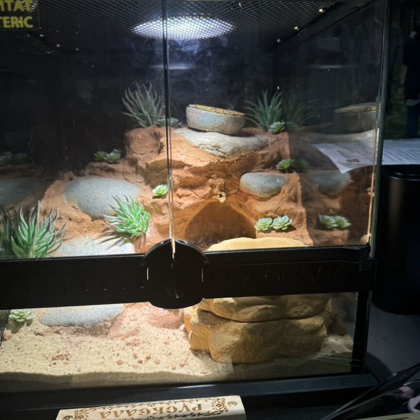 Террариум