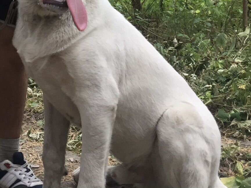 Кабель сао для вязки