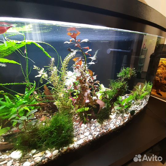 Аквариум 120л