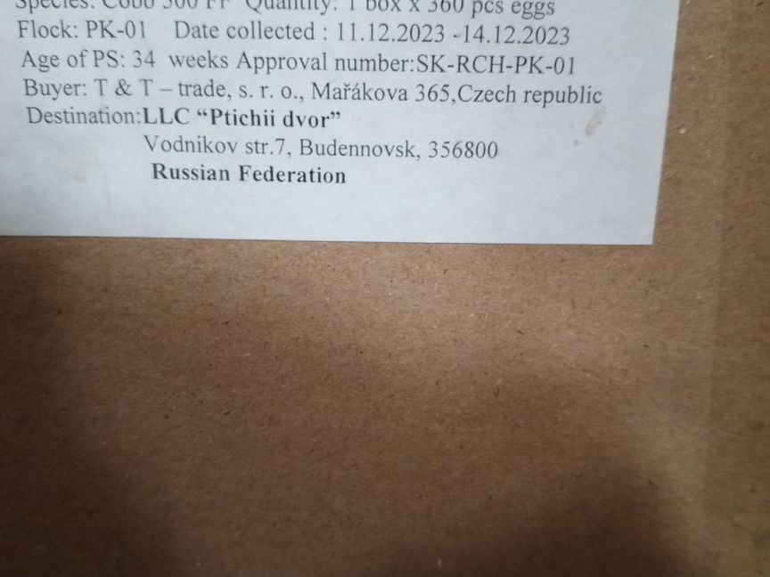 Цыплята Бройлеры Кобб500, вывод 21-21.01.24