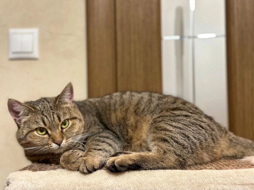 Колбаска хочет домой