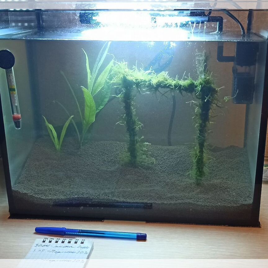 Аквариум со всеми пренадлежностями