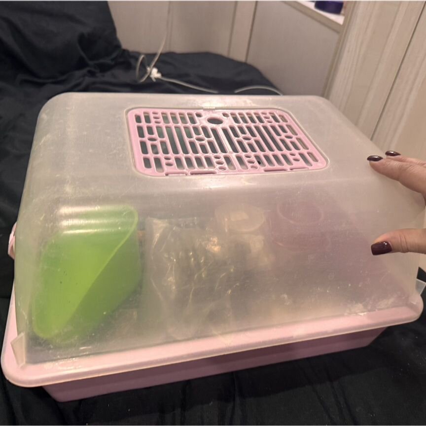 Контейнер для улиток, черепашек