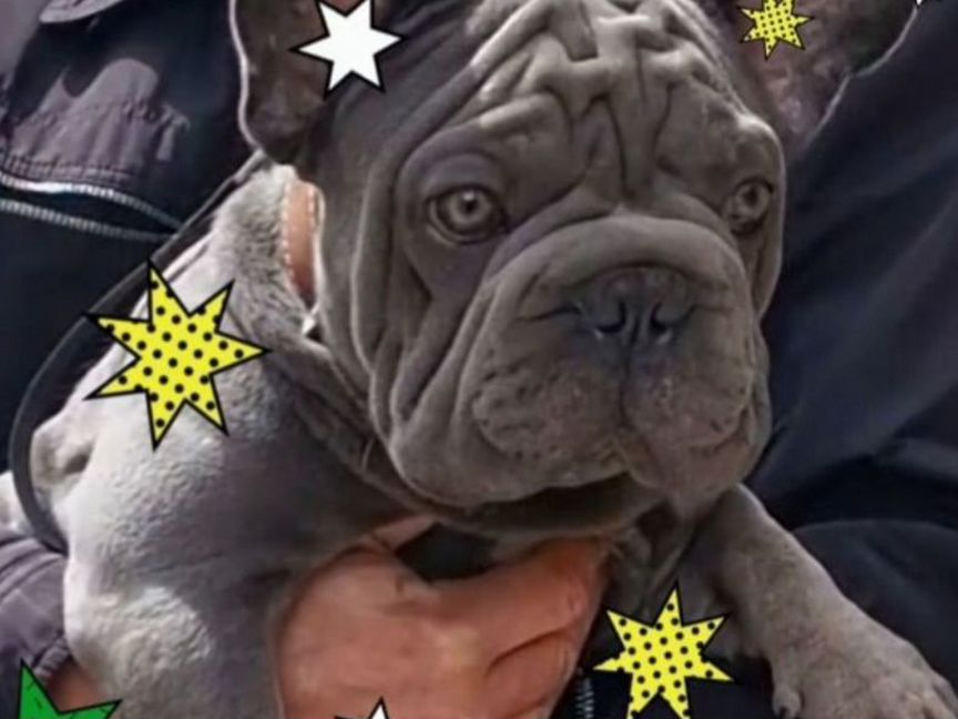 Big roup velvet.Вязка