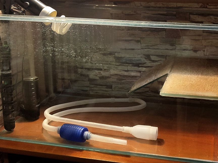 Аквариум для черепах